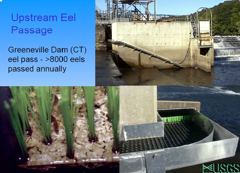 Friends of Merrymeeting Bay Cybrary